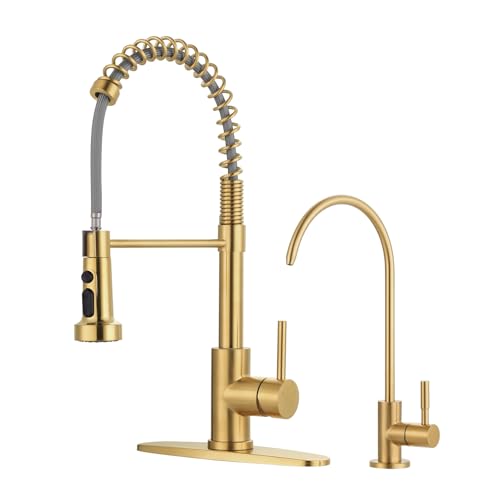 Kitchen Faucet and Water Filter Faucet: Brushed Gold Kitchen Sink ...