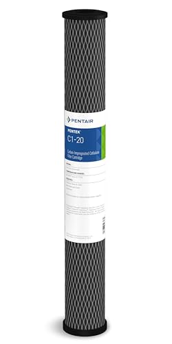 Pentair Pentek C1-20 Carbon Water Filter, 20-Inch, Whole House Dual ...