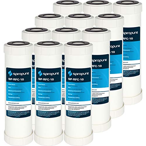 SpiroPure SP-RFC-10 10x2.5 25 Micron Coconut Shell Radial Flow Granular ...